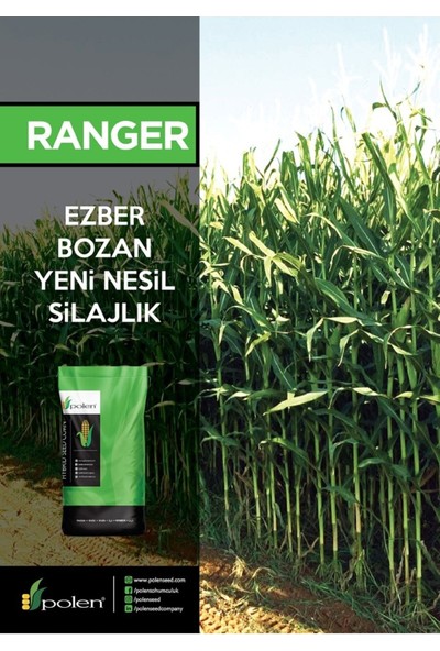 Ranger Silajlık Mısır Tohumu (90 Günlük 50.000 Adet) Ranger Silajlık Mısır Tohumu (90 Günlük 50.000 Adet)