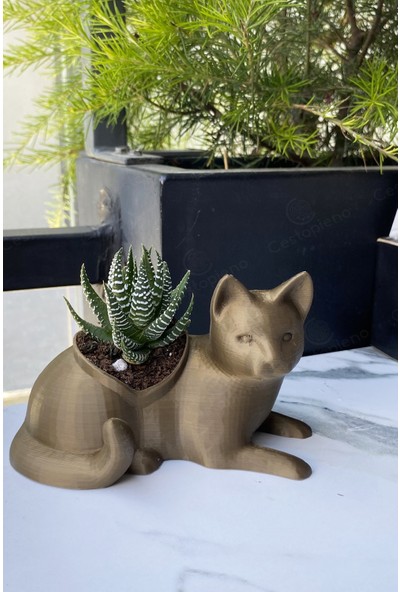 Cestopieno Kedi Figürlü Saksı