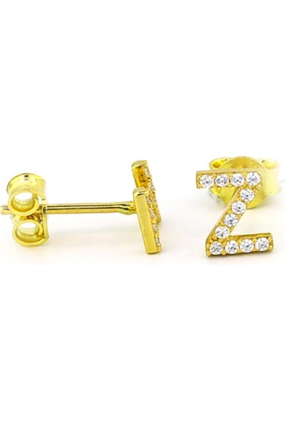 14 Ayar Z Harfli Altın Küpe