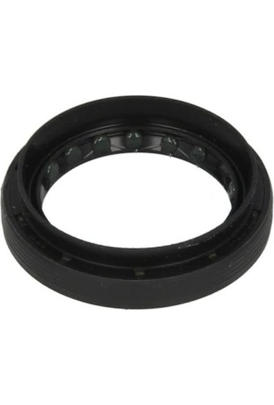 Skt Fluence Aks Keçesi Iç Sol 8200110847