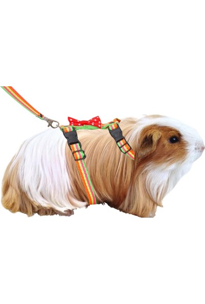 X-Perk Gine Domuzu ve Tavşan Gezdirme Tasması X-Perk Gine Domuzu ve Tavşan Gezdirme Tasması