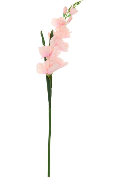 F Fityle 80 cm Yapay Glayola Glayöl Çiçek (Yurt Dışından) F Fityle 80 cm Yapay Glayola Glayöl Çiçek (Yurt Dışından)