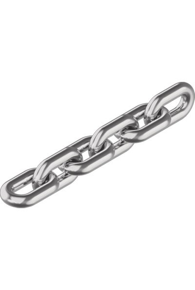 SCG10-100 Krom Zincir 316L SCG10-100 Krom Zincir 316L