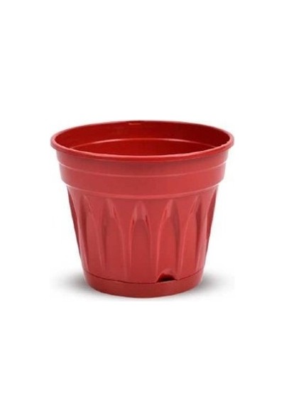 Serinova Revak Saksı 1 No 5 Adet Serinova Revak Saksı 1 No 5 Adet