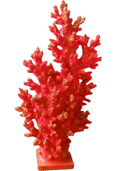 Dev Mercan Dekoratif Süs