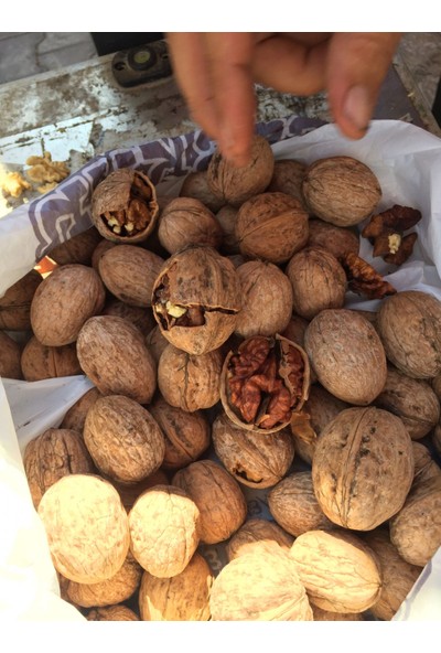 Ince Kabuklu Ceviz 500 G