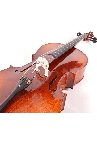 Çello (Viyolonsel) Dominguez Profesyonel El Yapımı DCPG44M Çello (Viyolonsel) Dominguez Profesyonel El Yapımı DCPG44M