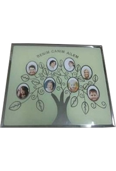 Benim Canım Ailem Çerçeve