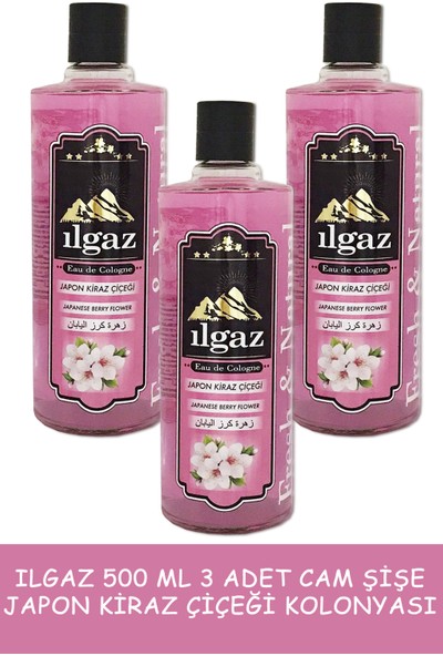 Ilgaz 3'lü Özel Seri Cam Japon Kirazı Kolonyası 500 ml Kalıcı Kiraz Çiçeği Eau De Cologne Parfümlü Kolonya Ilgaz 3'lü Özel Seri Cam Japon Kirazı Kolonyası 500 ml Kalıcı Kiraz Çiçeği Eau De Cologne Parfümlü Kolonya