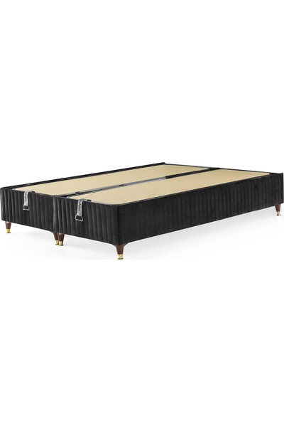 NLN Company Prestıge Baza