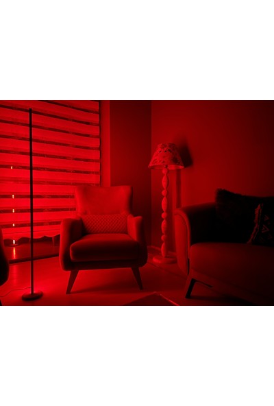 Luciole 150CM Modern Rgb LED Lambader / Bluetooth Kontrollü / Premium Luciole 150CM Modern Rgb LED Lambader / Bluetooth Kontrollü / Premium