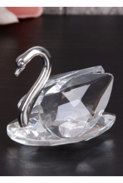 She Berrak Gümüş Boyunlu Kuğu