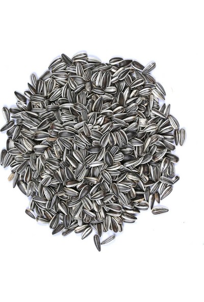 Vivid Papağan Çekirdek 1kg