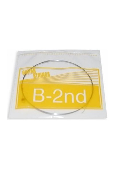 Çelik Gitar Teli Tek Si EG2202