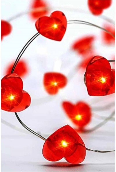 Dekoratif Kalpli LED Işık Şeridi