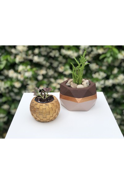 Talya Art Design Saksı 31