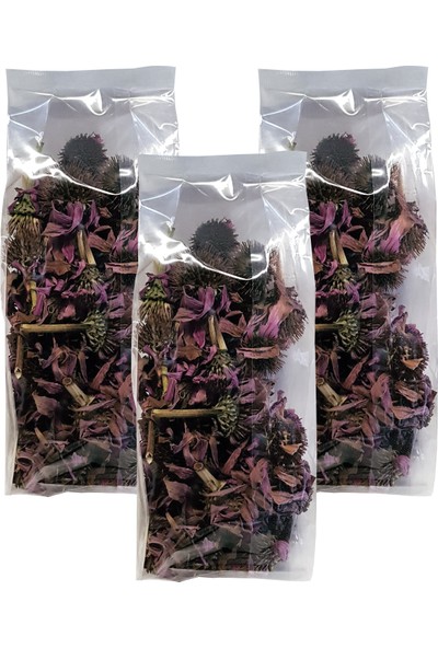 Zencefil Organik Ekinezya Bitkisi 3 Paket Ekinazeya Kurusu Kirpi Otu Ekinezya Çayı