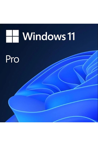Ms Wındows 11 Pro Tr Kutu HAV-00159