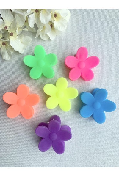 Mingy Neon Renklerde Papatya Model 6'lı Mandal Toka Seti