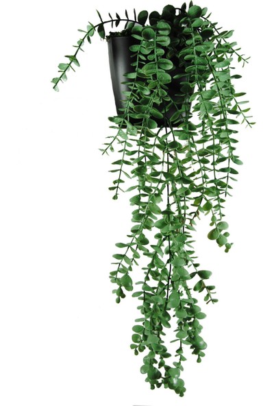 Lilac Home Yapay Çiçek Maxi Boy Siyah Saksılı Yeşil Okaliptus Sarkıtı Lilac Home Yapay Çiçek Maxi Boy Siyah Saksılı Yeşil Okaliptus Sarkıtı