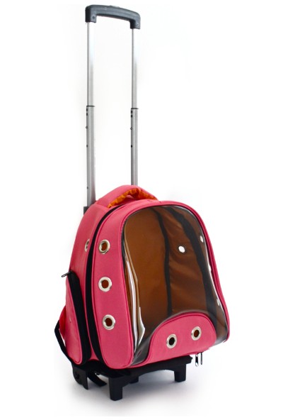 Emre Pazarlama Bavul Şeklinde Kedi Köpek Taşıma Çantası Emre Pazarlama Bavul Şeklinde Kedi Köpek Taşıma Çantası