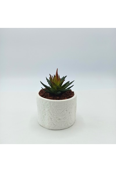 Glaze Mud Saksıda Sukulent Çiçek Glaze Mud Saksıda Sukulent Çiçek