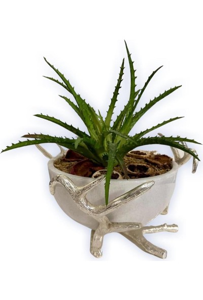 Klas Home Decor Beyaz Mermer Saksılı Aranjman Klas Home Decor Beyaz Mermer Saksılı Aranjman