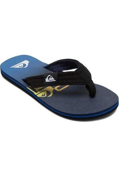 Quiksilver Molokai Layback Erkek TERLIK-AQYL101241