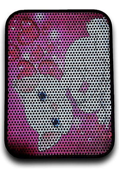 Gökcan Pet Desenli Kedi Kumu Paspası Elekli Yeni Sezon 45 x 60 cm