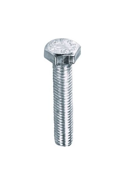 304 Krom Altıköşe Civata 10*30 304 Krom Altıköşe Civata 10*30