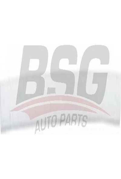 Bsg 65-925-002 Kapi Bandi On Sag 65925002 (WR253853)