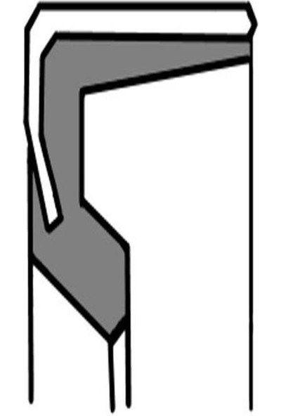 Corteco 19029603B (82029603) Kece 25X35X4.8 Wpb Nbr 19029603 90409300 (WK798192)