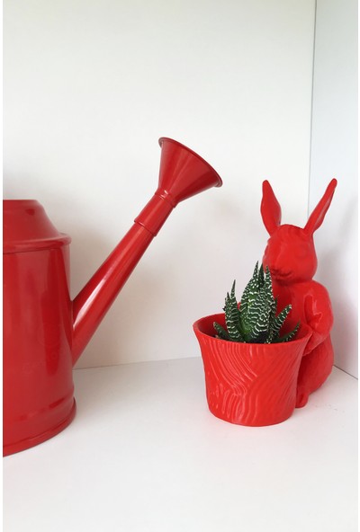 Cestopieno Tavşan Figürlü Biyoplastik Saksı/ Bitkili Cestopieno Tavşan Figürlü Biyoplastik Saksı/ Bitkili