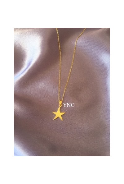 YNC Fashion 925 Ayar Gümüş Deniz Yıldızı Kolye (Gold)