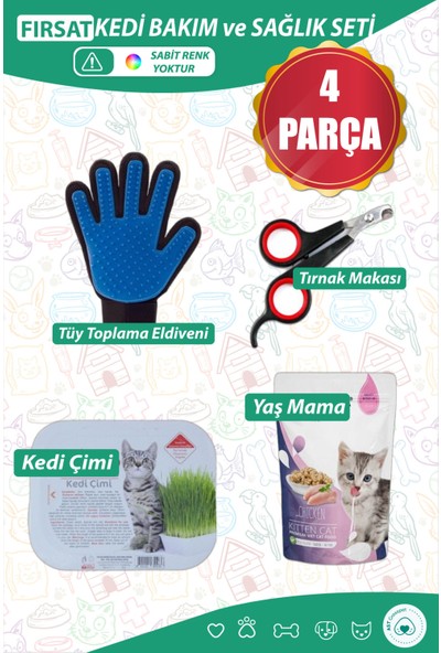 Ast Gross Pet Fırsat Kedi Bakım ve Sağlık Seti Kedi Eldiveni Tüy Toplama Eldiveni Tırnak Makası Yaş Mama Kedi Çimi Ast Gross Pet Fırsat Kedi Bakım ve Sağlık Seti Kedi Eldiveni Tüy Toplama Eldiveni Tırnak Makası Yaş Mama Kedi Çimi