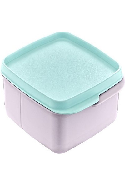 Kare Bölmeli Beslenme Kabı
