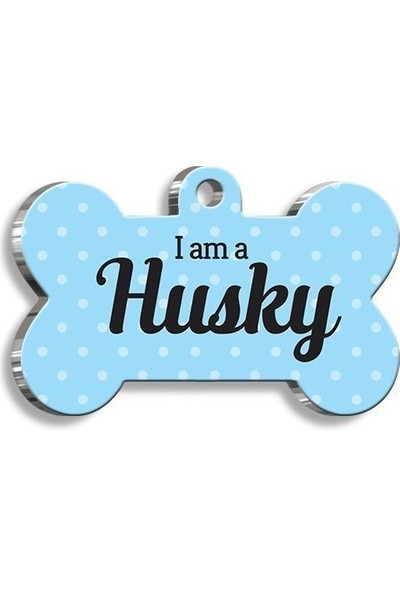 Kobal Business Husky Mavi Kemik Şekilli Köpek Künyesi