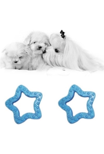 Berrin Store Köpek Diş Bakım Oyuncağı Yıldız Şeklinde 8 cm Mavi Berrin Store Köpek Diş Bakım Oyuncağı Yıldız Şeklinde 8 cm Mavi