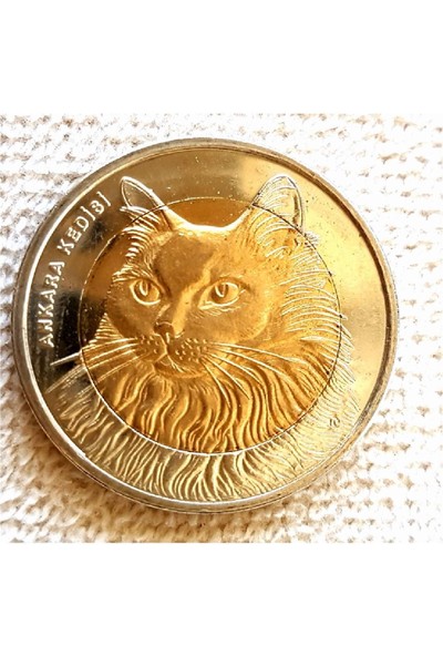 Darphana Ankara Kedisi Hayvanlar Serisi 2010 Çil Darphana Ankara Kedisi Hayvanlar Serisi 2010 Çil