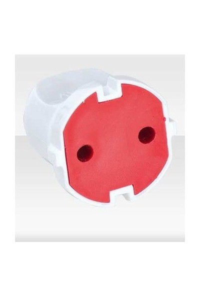 Ay-Ka Topraksız Dişi Fiş Ay-Ka Topraksız Dişi Fiş