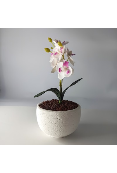 Glaze Mud Saksıda Orkide Çiçek