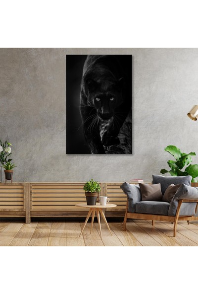 Fupe Shop Parlak Gözlü Siyah Puma Kanvas Duvar Tablo 4452275 Fupe Shop Parlak Gözlü Siyah Puma Kanvas Duvar Tablo 4452275