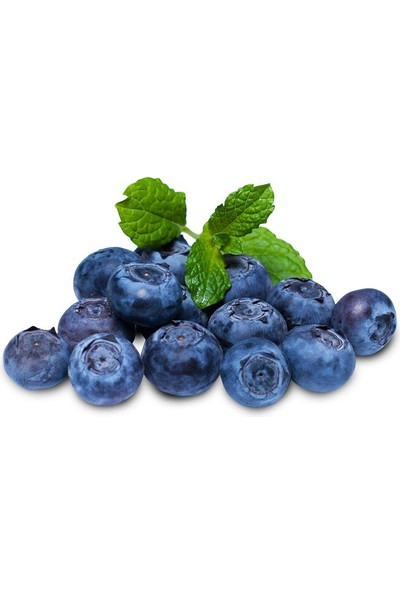 Tropik Sepeti Yaban Mersini 125 gr