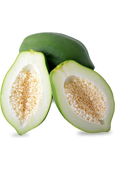 Yeşil Papaya 1 Adet