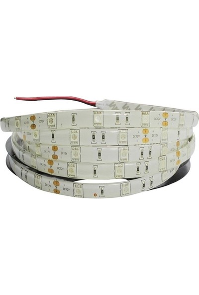 Panacom Iç ve Dış Mekan 3 Çipli Şerit LED Mavi Işık 5m 5050 DC12V Panacom Iç ve Dış Mekan 3 Çipli Şerit LED Mavi Işık 5m 5050 DC12V