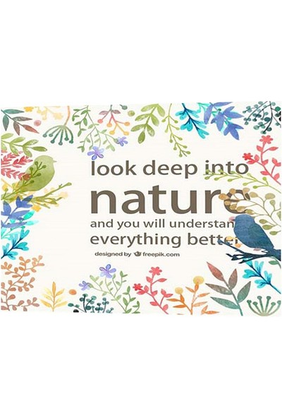 Masa Kapağı Kuşları( Yurt Dışından )