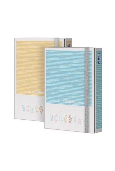 Gıpta Kutu Klasör Slım Sunshıne 25X35 4112 Gıpta
