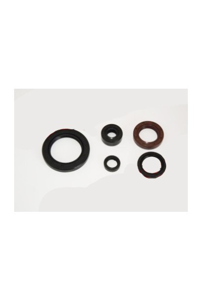 Yağ Keçe Seti Regal Raptor 350 Yağ Keçe Seti Regal Raptor 350