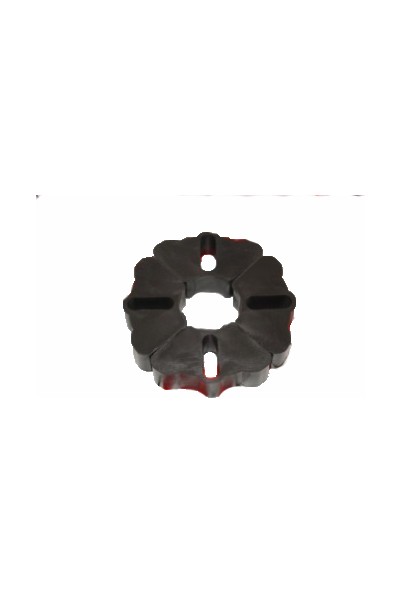 Kaplin Lastiği Regal Raptor 250 Kaplin Lastiği Regal Raptor 250