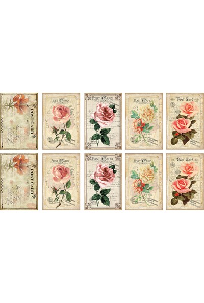 Tellgraf Reklam Hizmetleri Güllü Kartpostal Seti 10X15 cm Tellgraf Reklam Hizmetleri Güllü Kartpostal Seti 10X15 cm